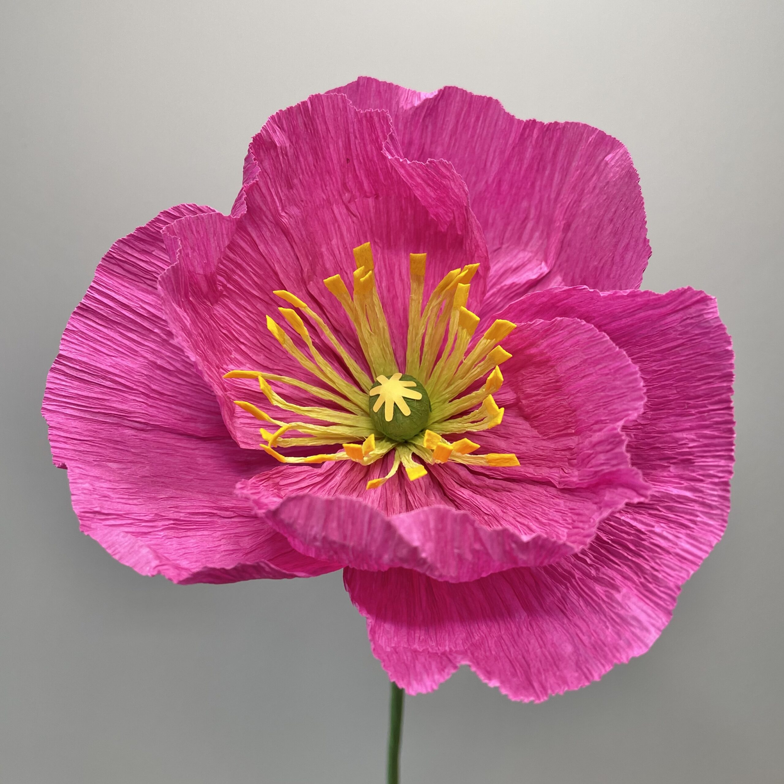for Adults – Pomfret Public Library